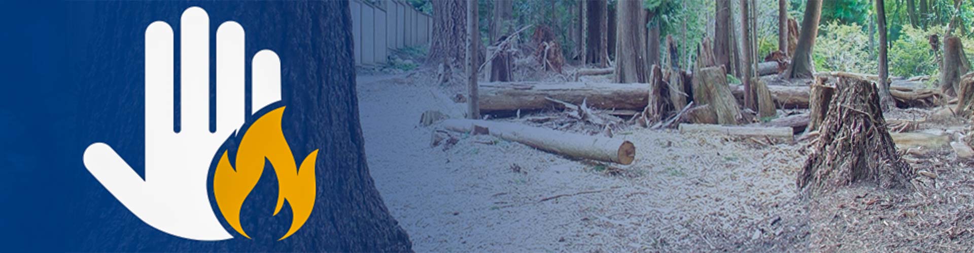 Wildfire Preparedness - Village of Anmore